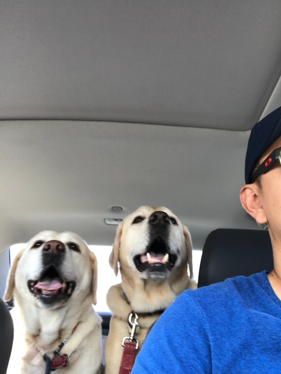 Moby’s Friend Molly – Moby's Stories Online